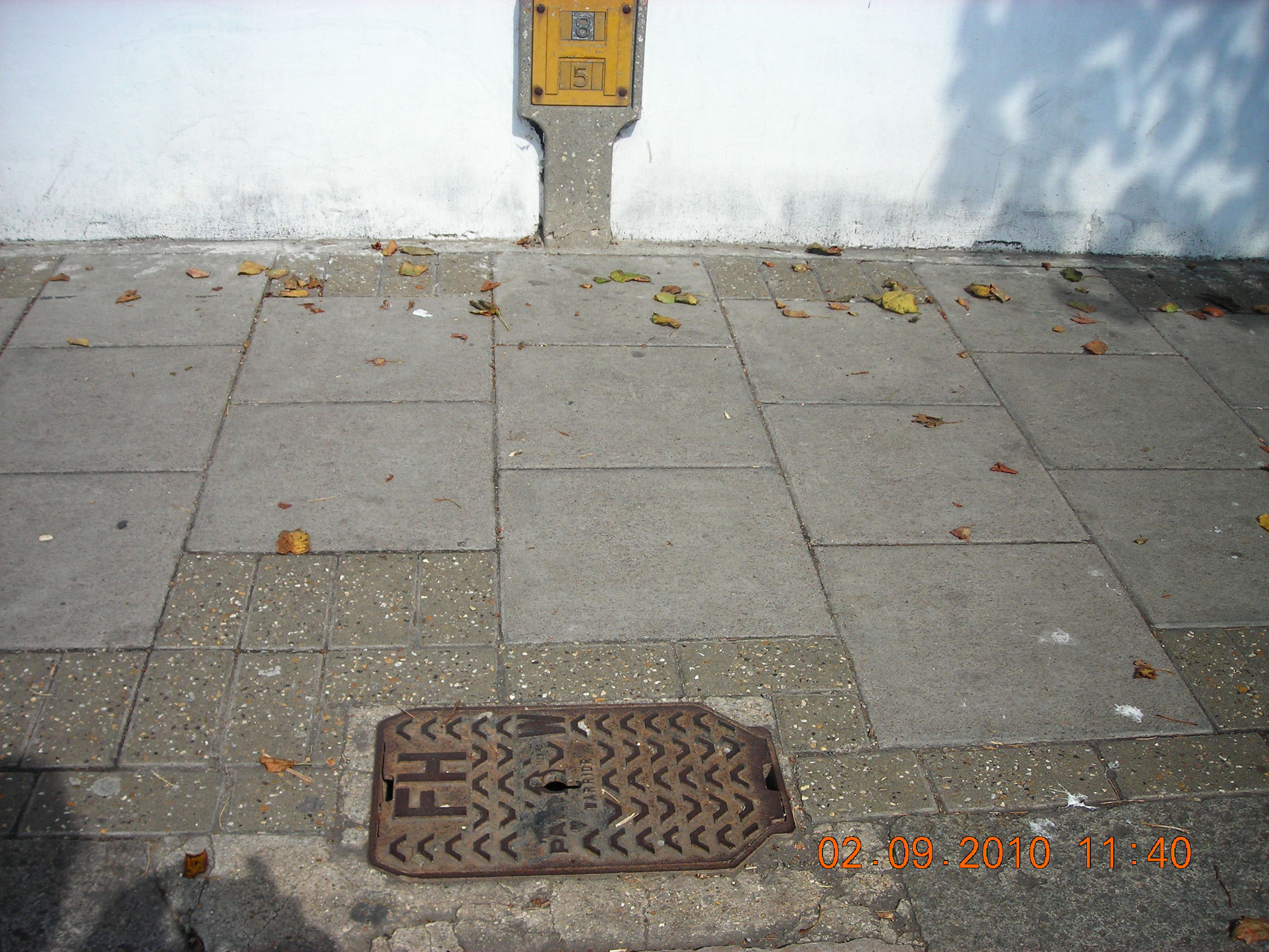 SEHAUC Plant Indentification Tool - Water - Fire Hydrant Covers